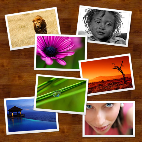 Using Photographs in Graphic Design - How and Why | DesignContest