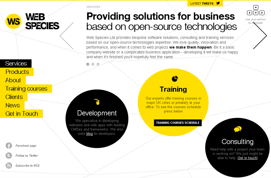 Website Design Trends 2015 | DesignContest