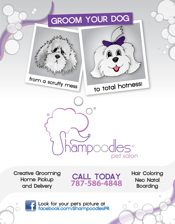 Grooming Salon: Marketing from A to Z | DesignContest